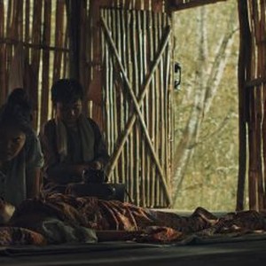 Roh - Rotten Tomatoes