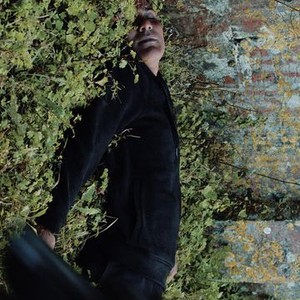 A Prince - Rotten Tomatoes