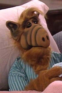 ALF: Season 4, Episode 12 - Rotten Tomatoes