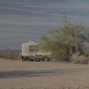 Desert Coffee - Rotten Tomatoes