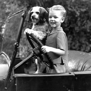 Larry Simms - Rotten Tomatoes