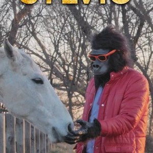 Sylvio - Rotten Tomatoes