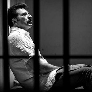 Parole - Rotten Tomatoes