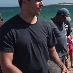 Fin - Rotten Tomatoes