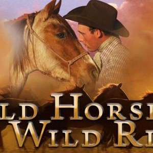 Wild Horse, Wild Ride - Rotten Tomatoes