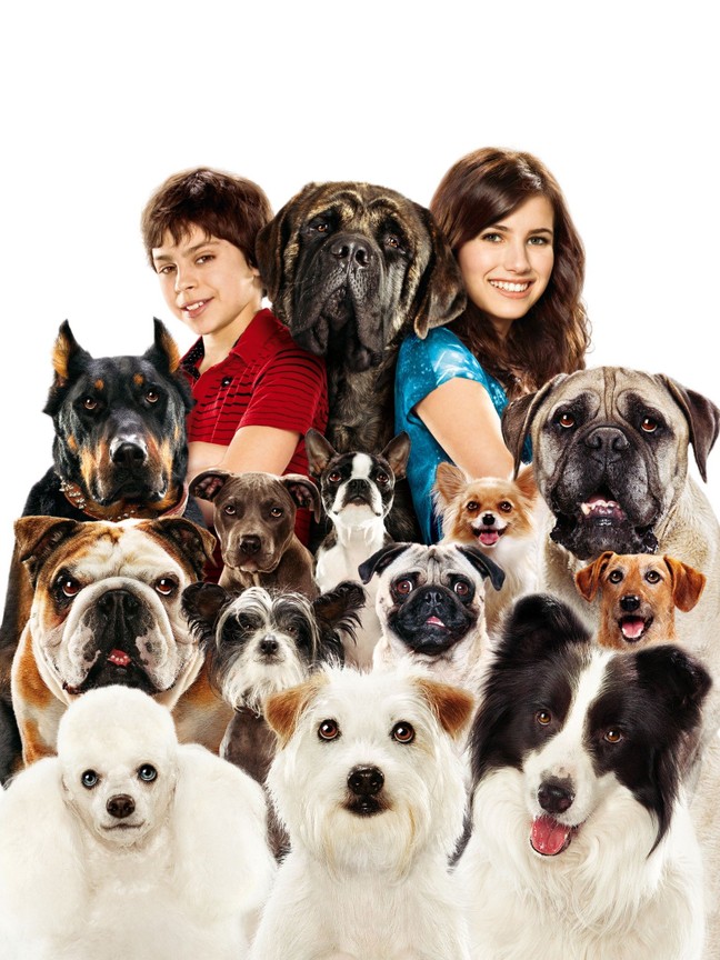 Hotel For Dogs Romeo