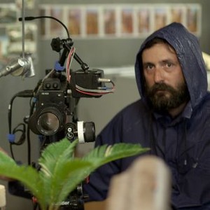 Wrong - Rotten Tomatoes