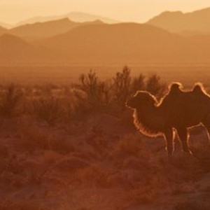 Evolution Earth - Rotten Tomatoes