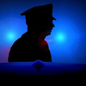 Crisis Point - Rotten Tomatoes