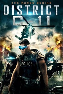 District C-11 | Rotten Tomatoes