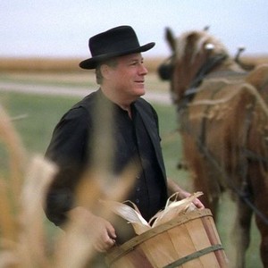 Sweet Land - Rotten Tomatoes