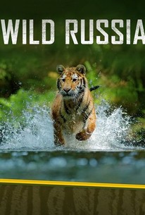 Wild Russia | Rotten Tomatoes