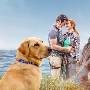 Guiding Emily - Rotten Tomatoes