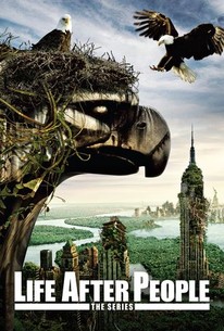 Life After People: Season 2 | Rotten Tomatoes