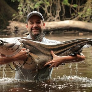 Zeb Hogan - Rotten Tomatoes