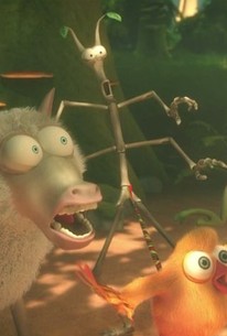 The Owl & Co: Season 1, Episode 43 | Rotten Tomatoes