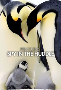 Penguins: Spy in the Huddle | Rotten Tomatoes