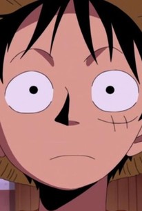 One Piece: Season 10, Episode 18 | Rotten Tomatoes