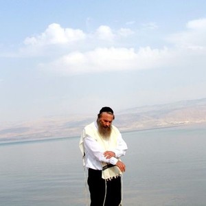 Assi Dayan - Rotten Tomatoes