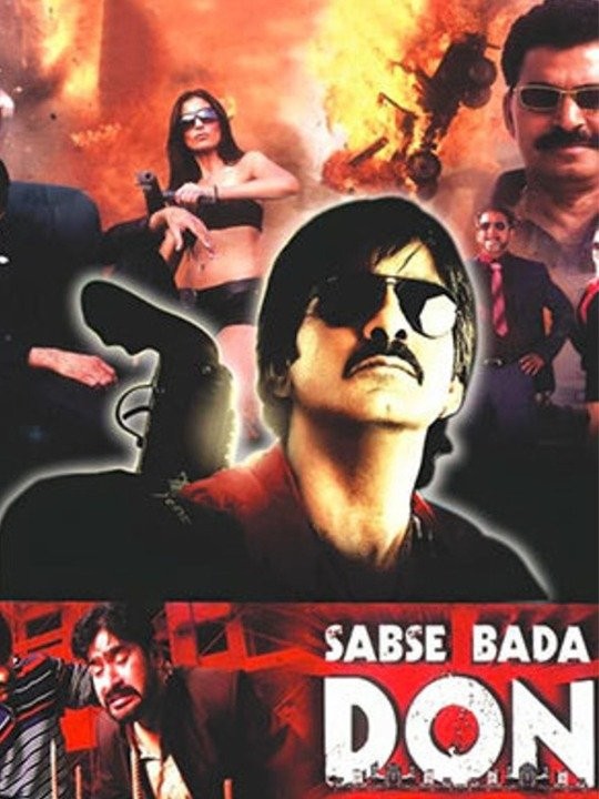 Don Hindi Movie Logo