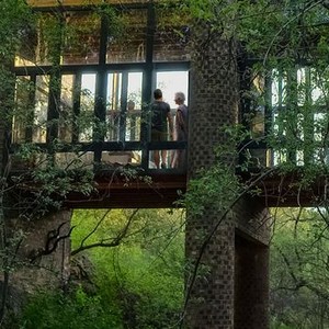 Home - Rotten Tomatoes