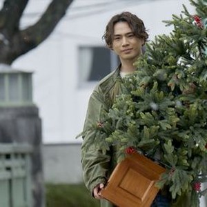 Snow Flower - Rotten Tomatoes