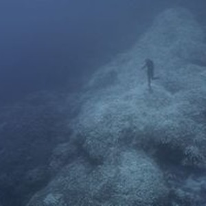 The Magnitude of All Things - Rotten Tomatoes