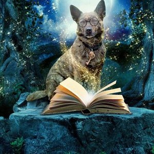 The Amazing Wizard of Paws - Rotten Tomatoes