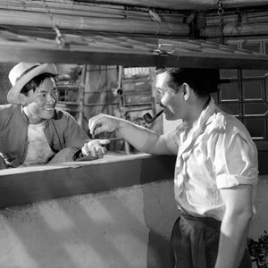 Victor Sen Yung - Rotten Tomatoes