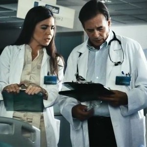 Human Test - Rotten Tomatoes