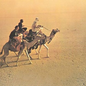 John Dimech - Rotten Tomatoes