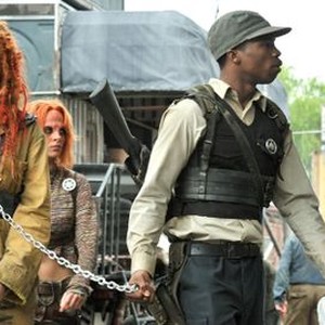 Dewshane Williams - Rotten Tomatoes