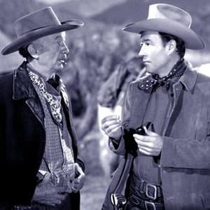 The Showdown - Rotten Tomatoes