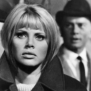 David Bauer - Rotten Tomatoes