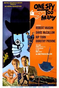 One Spy Too Many | Rotten Tomatoes