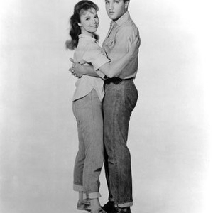 Anne Helm - Rotten Tomatoes