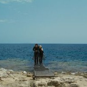 The Dive - Rotten Tomatoes