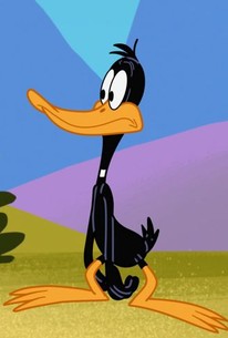 Wabbit: Season 2, Episode 44 - Rotten Tomatoes