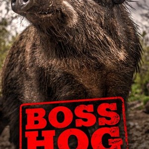 Boss Hog: Season 1, Episode 3 - Rotten Tomatoes