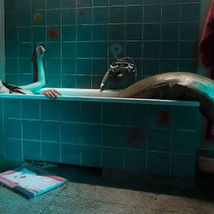 The Lure - Rotten Tomatoes