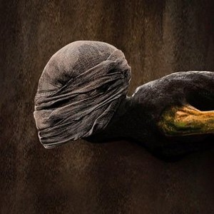 The Maus - Rotten Tomatoes