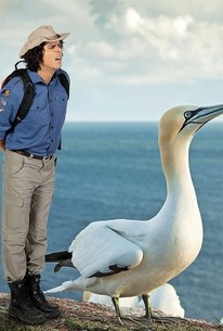 Andy's Wild Adventures: Season 2, Episode 12 - Rotten Tomatoes