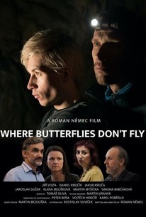 Where Butterflies Don't Fly | Rotten Tomatoes