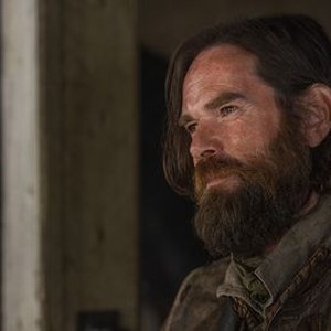 Andrew Whipp - Rotten Tomatoes