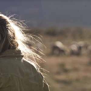 Beautiful Kate - Rotten Tomatoes