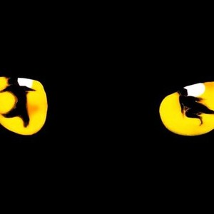 Cats - Rotten Tomatoes
