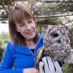 Hope in the Wild: Season 4, Episode 26 - Rotten Tomatoes