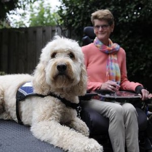 Buddy - Rotten Tomatoes