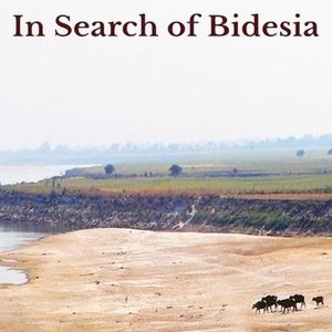 In Search of Bidesia - Rotten Tomatoes