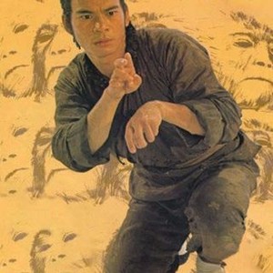 Iron Monkey - Rotten Tomatoes